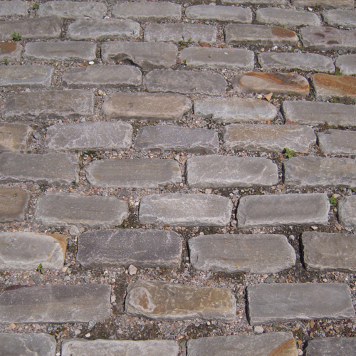 Landscape Archives - Savannah Surfaces