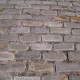 Landscape Archives - Savannah Surfaces