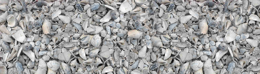 Aggregates Archives - Savannah Surfaces