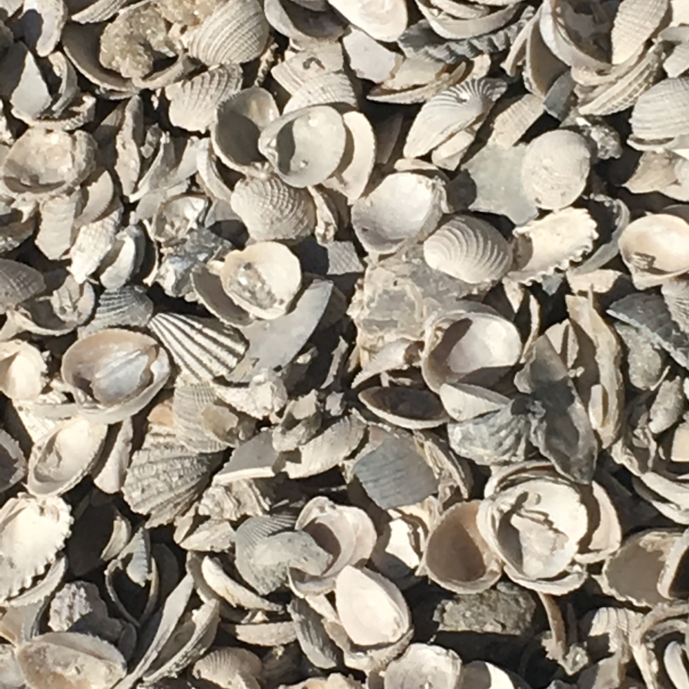 Aggregates Archives - Savannah Surfaces