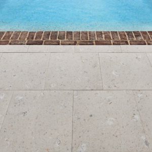 Old World Tabby Archives - Savannah Surfaces