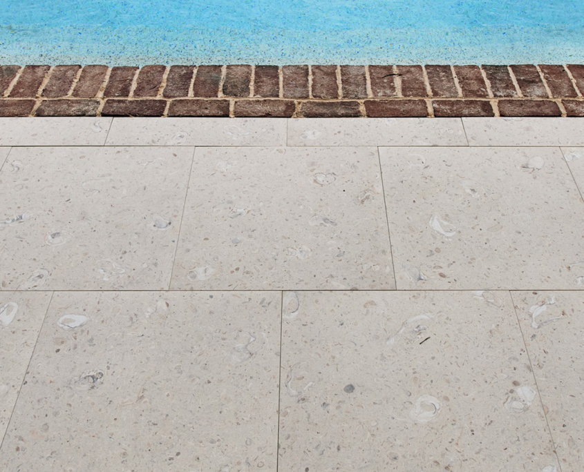 Old World Tabby - Savannah Surfaces